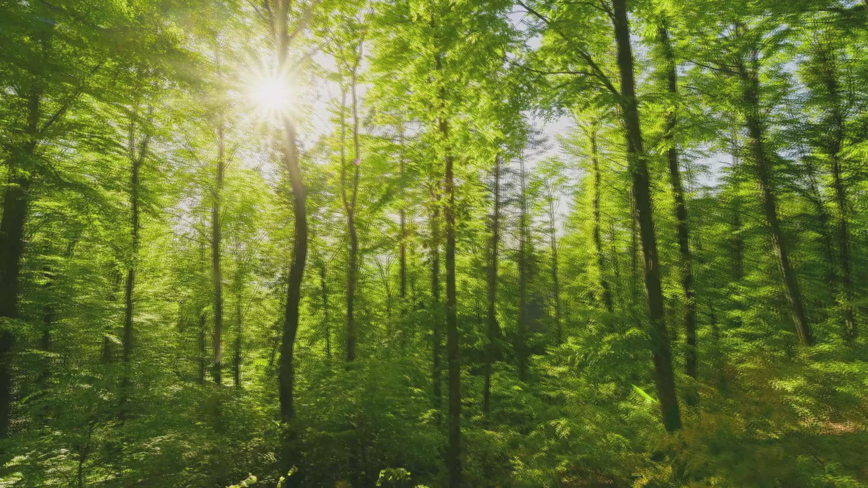 Purity Sleep by OMF | Mattresses, Beds, & More – Purity by OMF